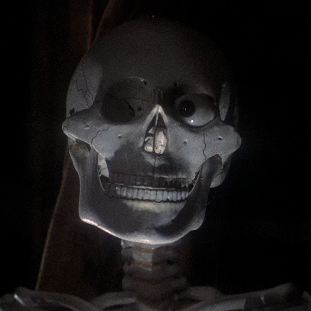 ‎Takey Tajwar’s profile • Letterboxd