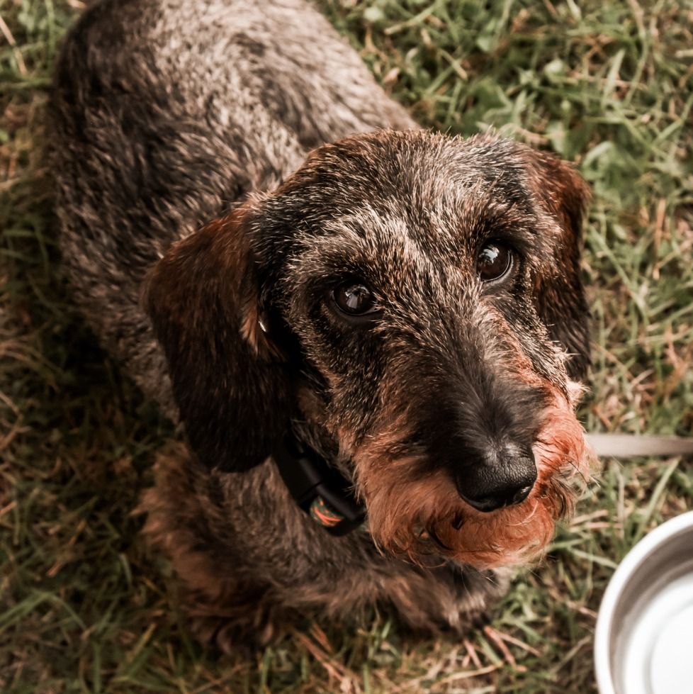 ‎Sofija Leonavičiūtė’s profile • Letterboxd