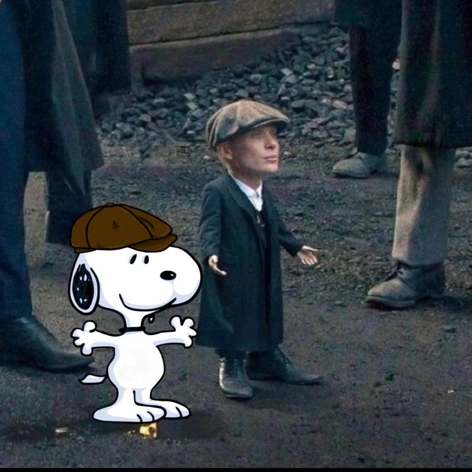 ‎Declan’s profile • Letterboxd