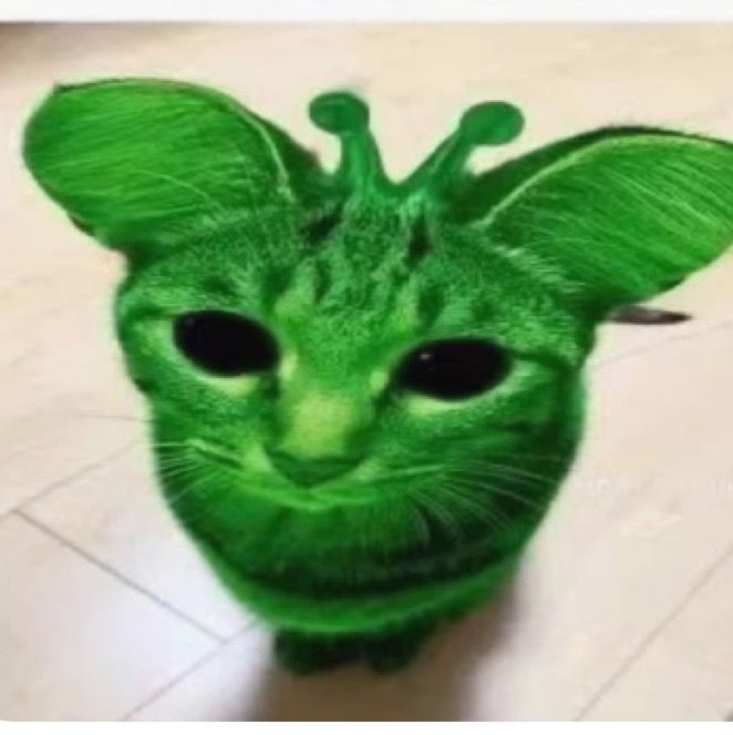 ‎Claire Alvarez’s profile • Letterboxd