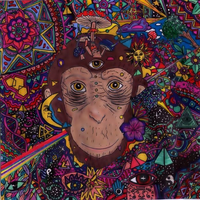 ‎MONO_DOPADO’s profile • Letterboxd