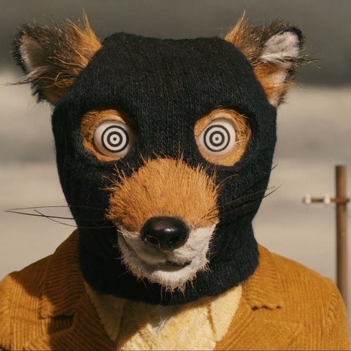 ‎Max Cain’s profile • Letterboxd