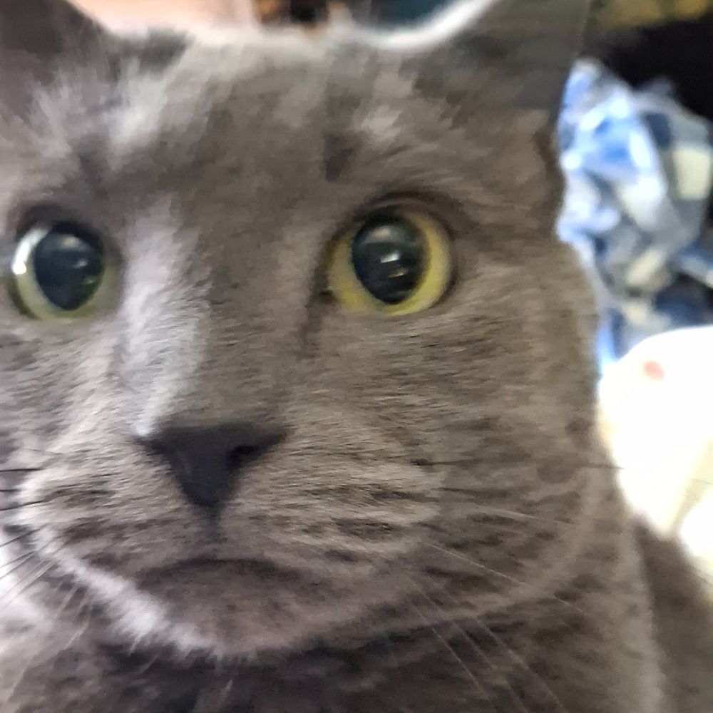 ‎Katie K’s profile • Letterboxd