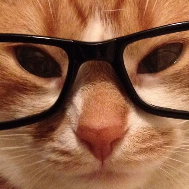 ‎cody’s profile • Letterboxd