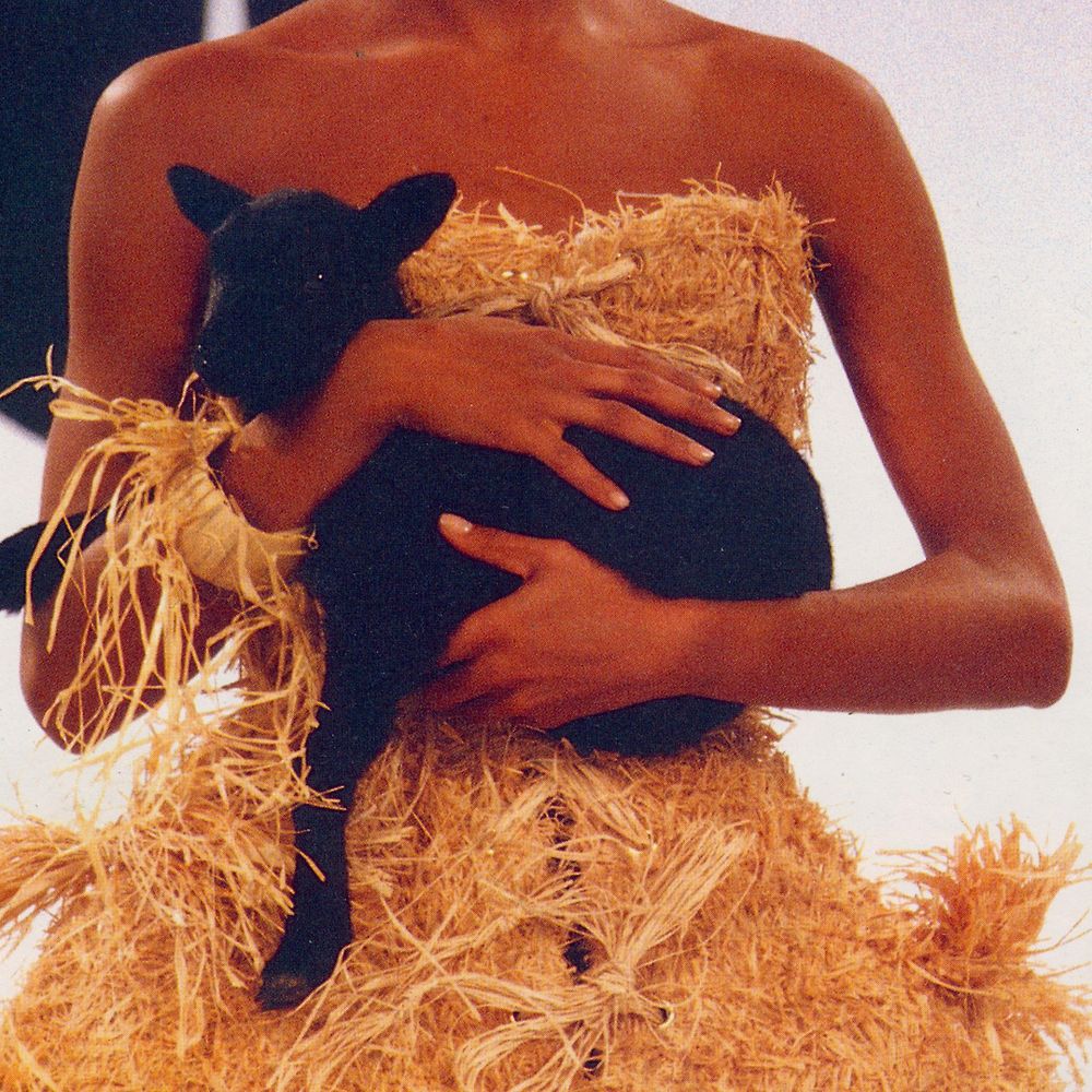‎schalas Profile • Letterboxd