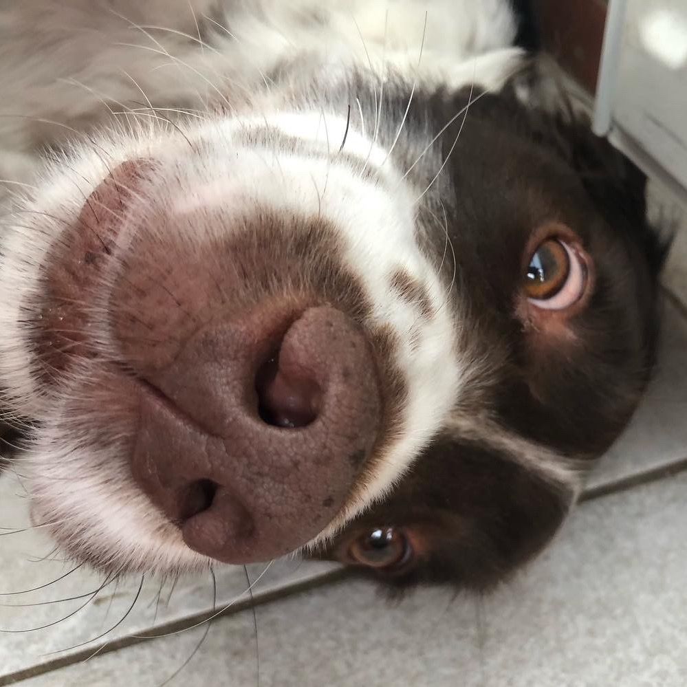 ‎Dexo’s profile • Letterboxd