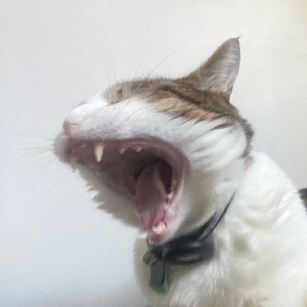 ‎Jackson Clark’s profile • Letterboxd