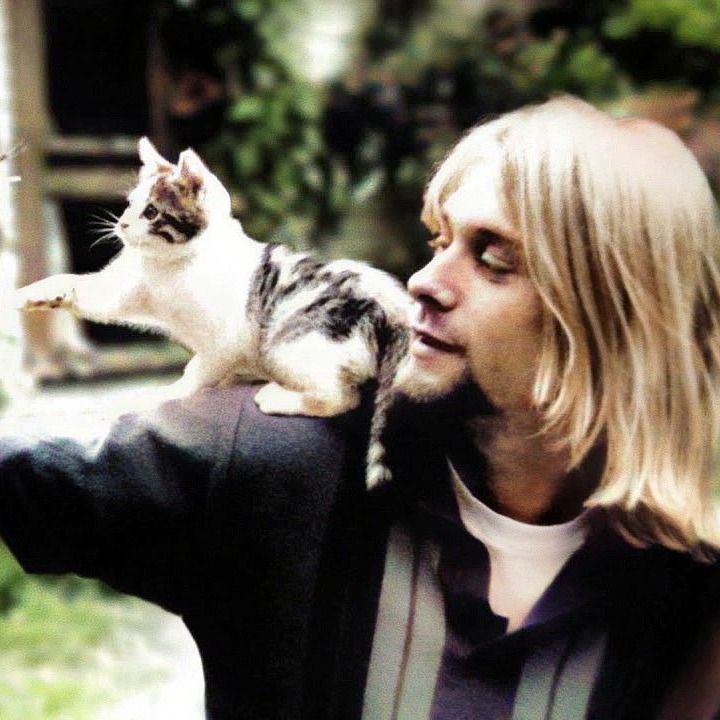 ‎Tefi Alonso’s profile • Letterboxd