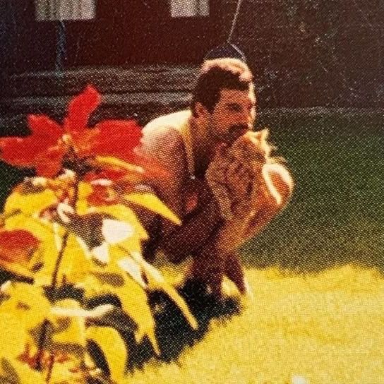 ‎tuana’s profile • Letterboxd