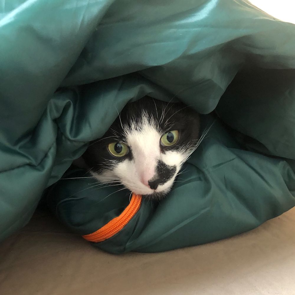 ‎George White’s profile • Letterboxd