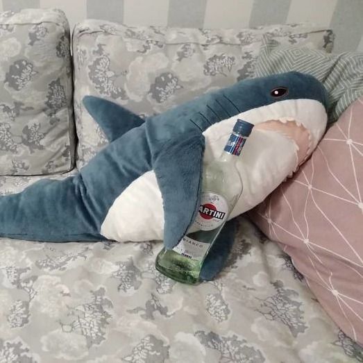 ‎blahj ikea shark’s profile • Letterboxd