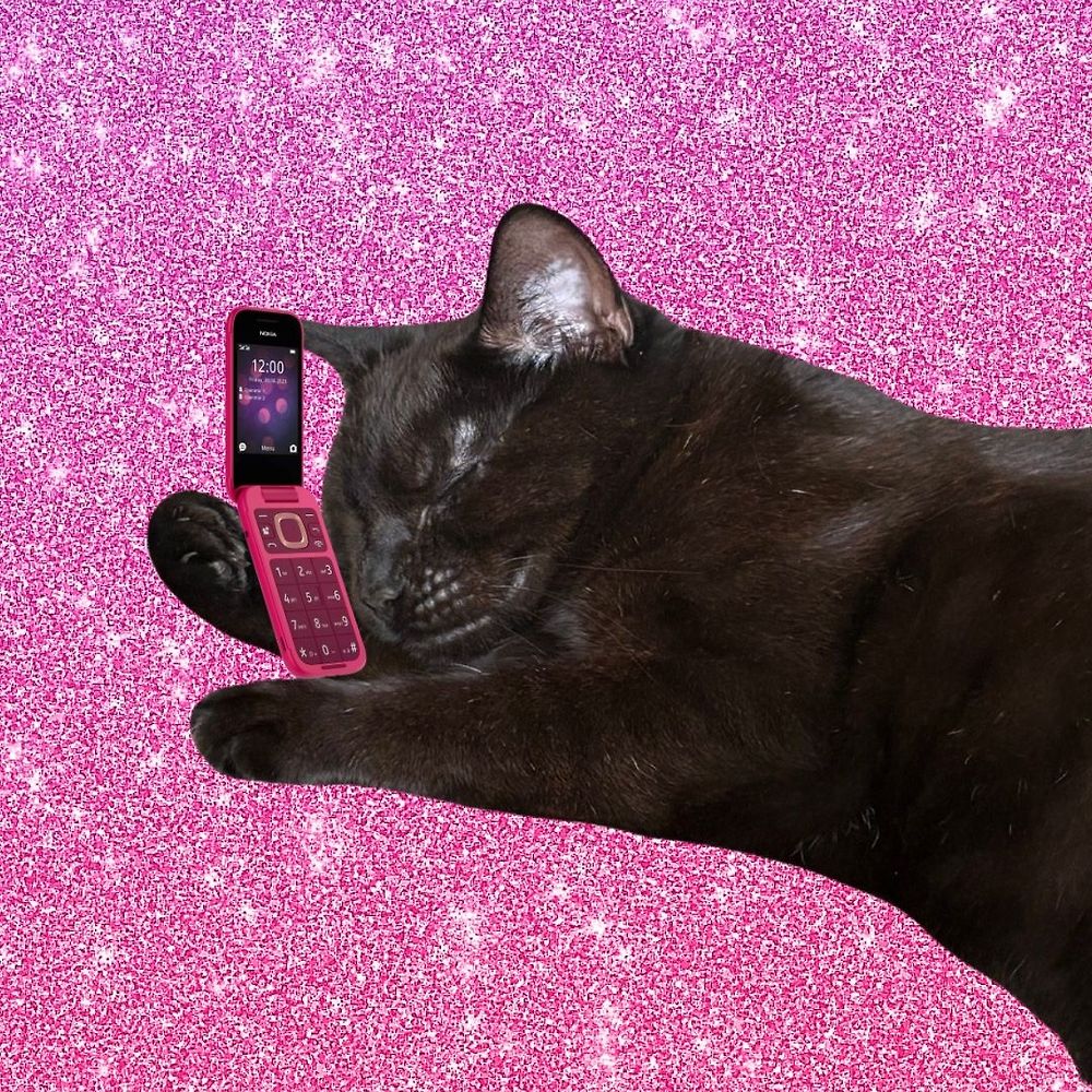 ‎Charlie Collett’s profile • Letterboxd