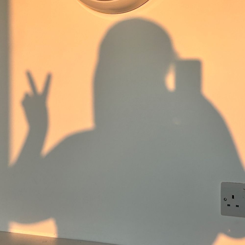 ‎nimzy’s profile • Letterboxd