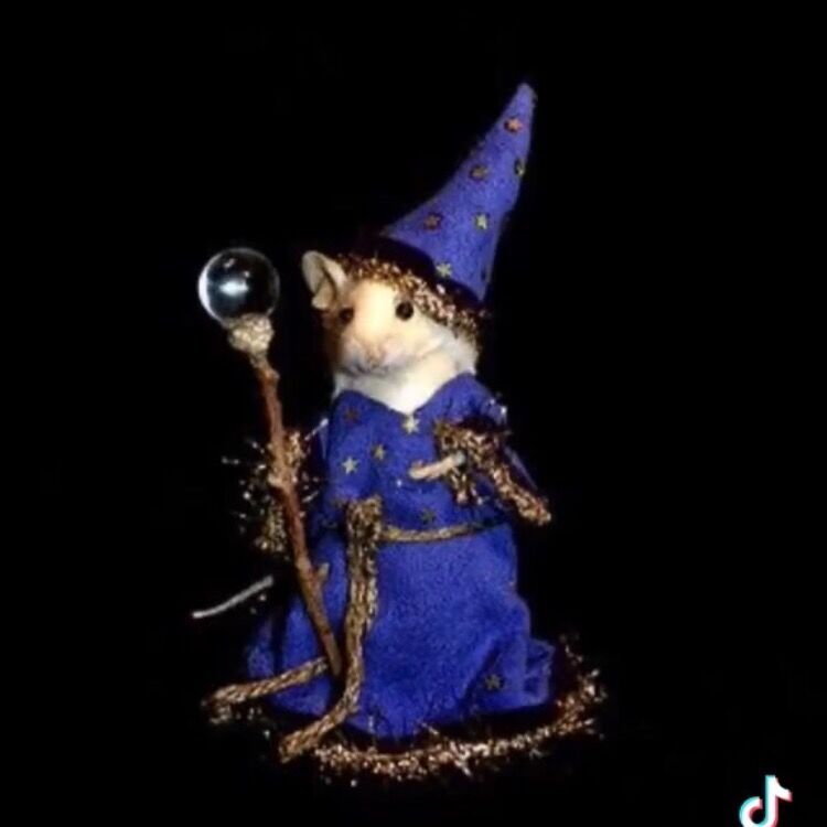 ‎lj’s profile • Letterboxd