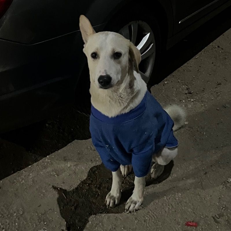 ‎Adam’s profile • Letterboxd