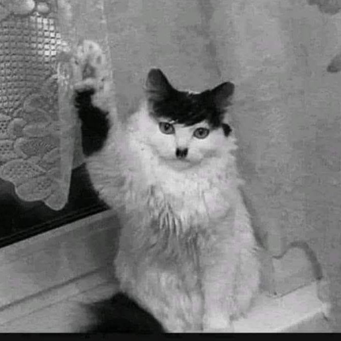 ‎yousef alaa’s profile • Letterboxd