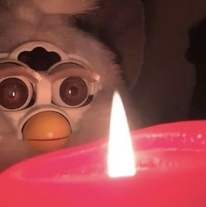 ‎Sofía Díaz’s profile • Letterboxd