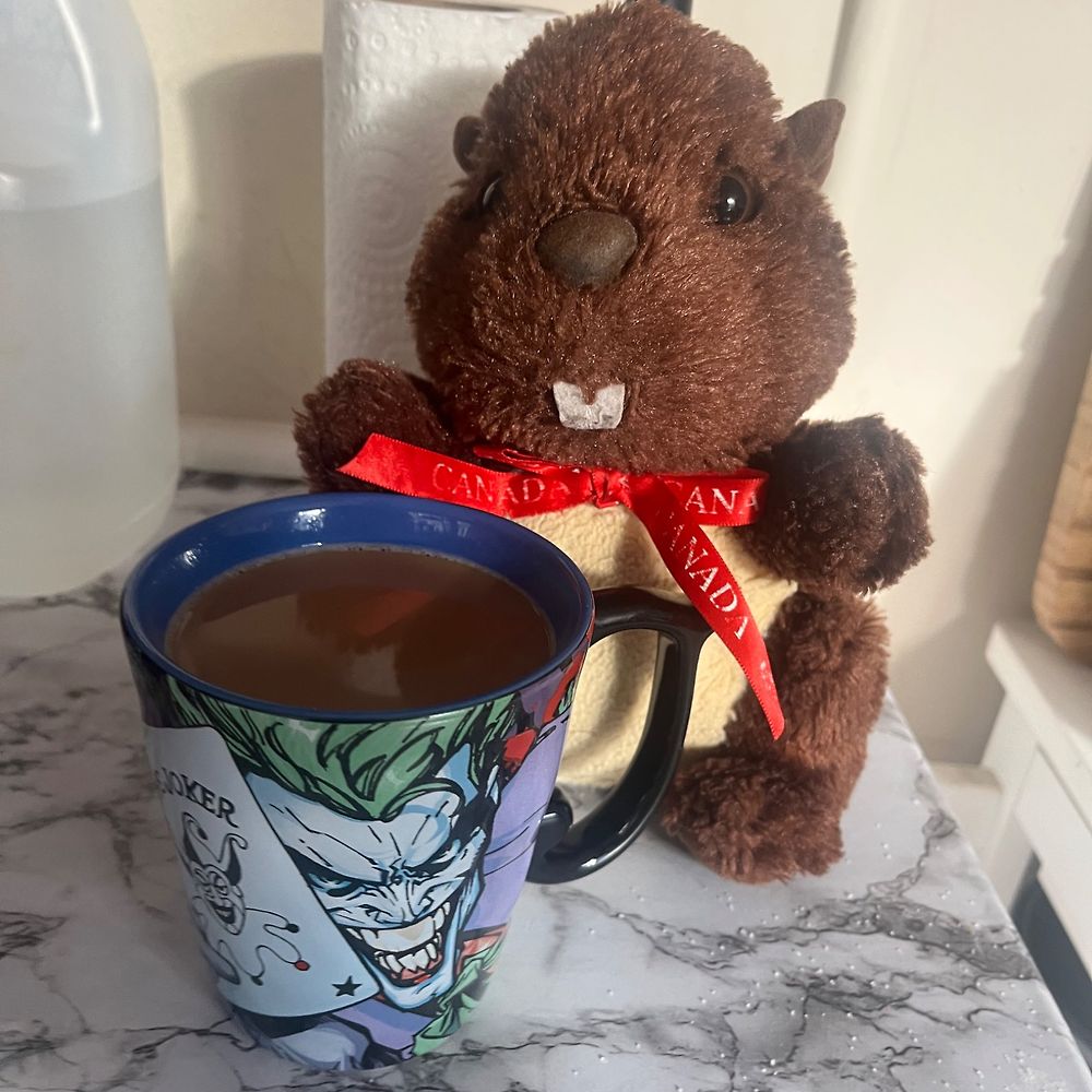 ‎Jack Cavanagh’s profile • Letterboxd