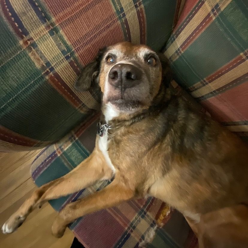 ‎Cody’s profile • Letterboxd