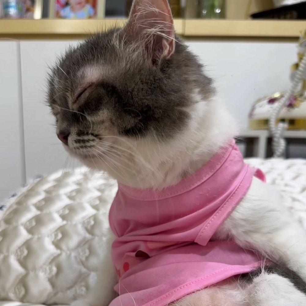 ‎fufulame31’s profile • Letterboxd