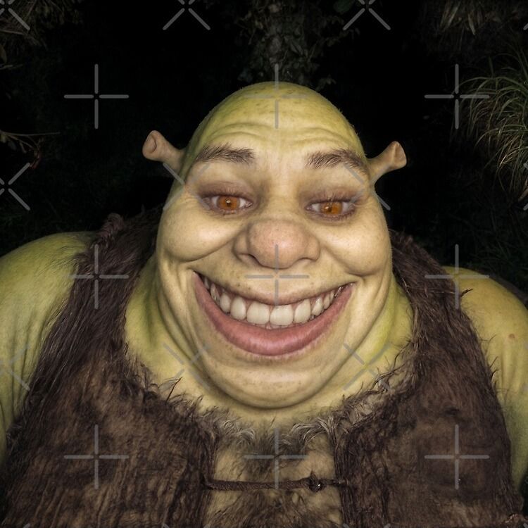 ‎niara’s profile • Letterboxd