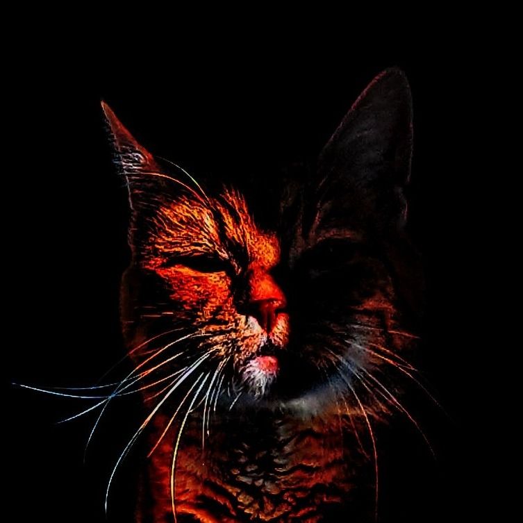 ‎Max Mars’s profile • Letterboxd