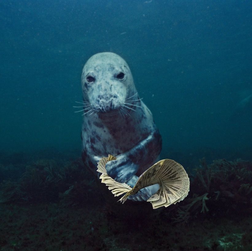 ‎Leechman’s profile • Letterboxd