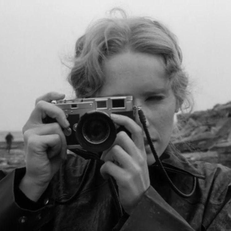 ‎Lilio’s profile • Letterboxd