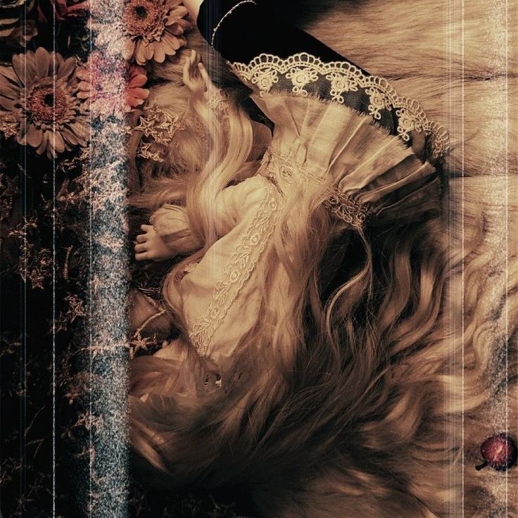 ‎vamp’s profile • Letterboxd