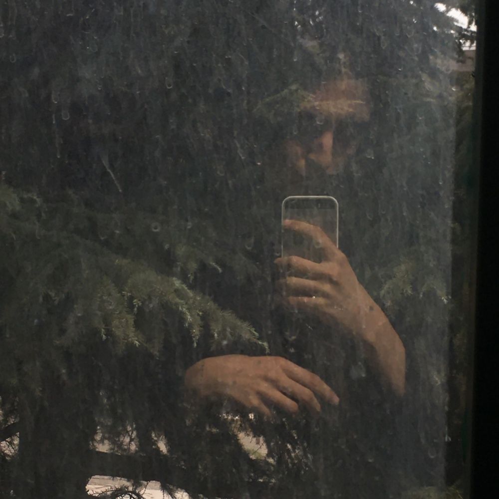 ‎hazz’s profile • Letterboxd