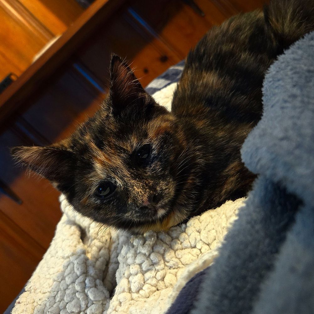 ‎Barack_Obungus’s profile • Letterboxd