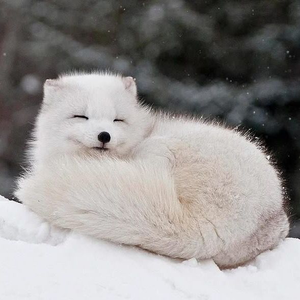 ‎Alex’s profile • Letterboxd