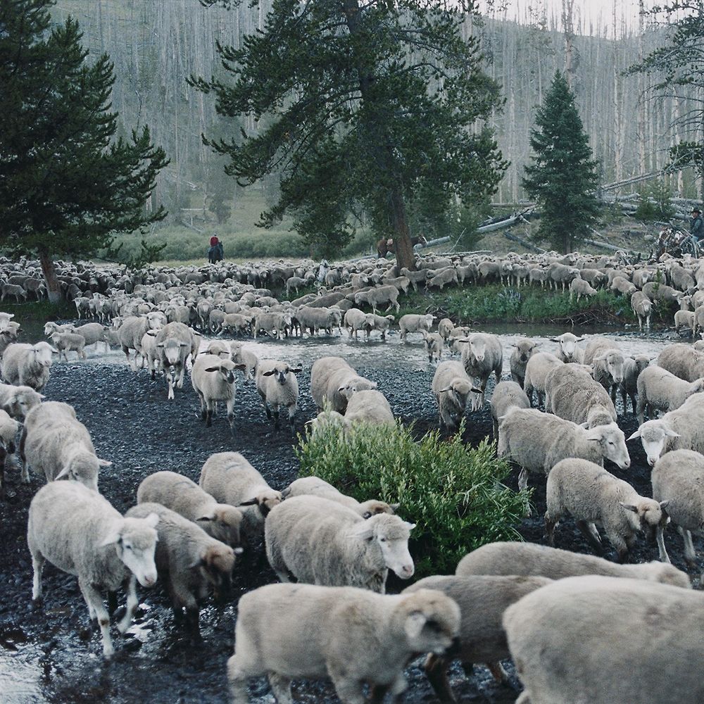 ‎Joe Hageman’s profile • Letterboxd