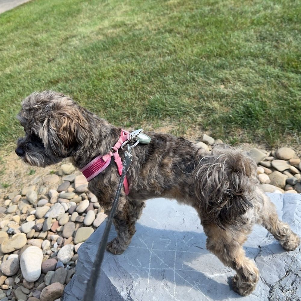 ‎Adam’s profile • Letterboxd