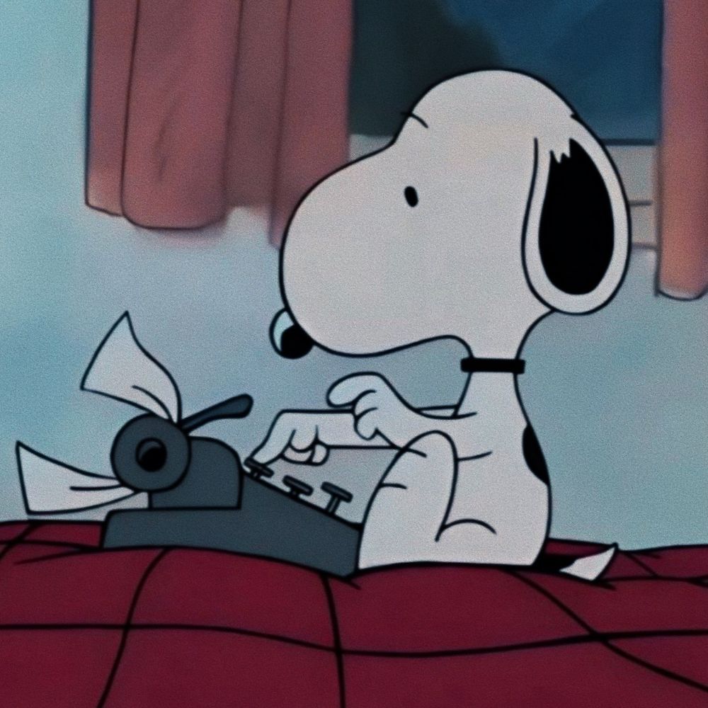 ‎rachel ’s profile • Letterboxd