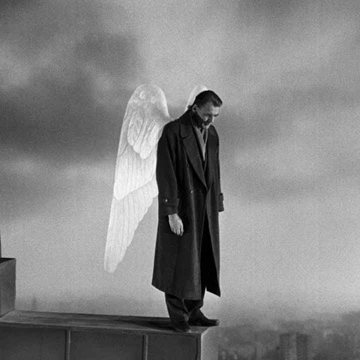 ‎Addison Owen’s profile • Letterboxd