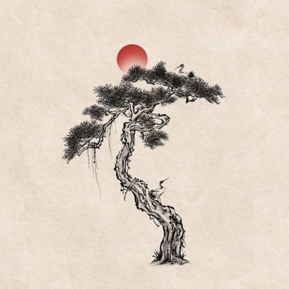 ‎Beida’s profile • Letterboxd