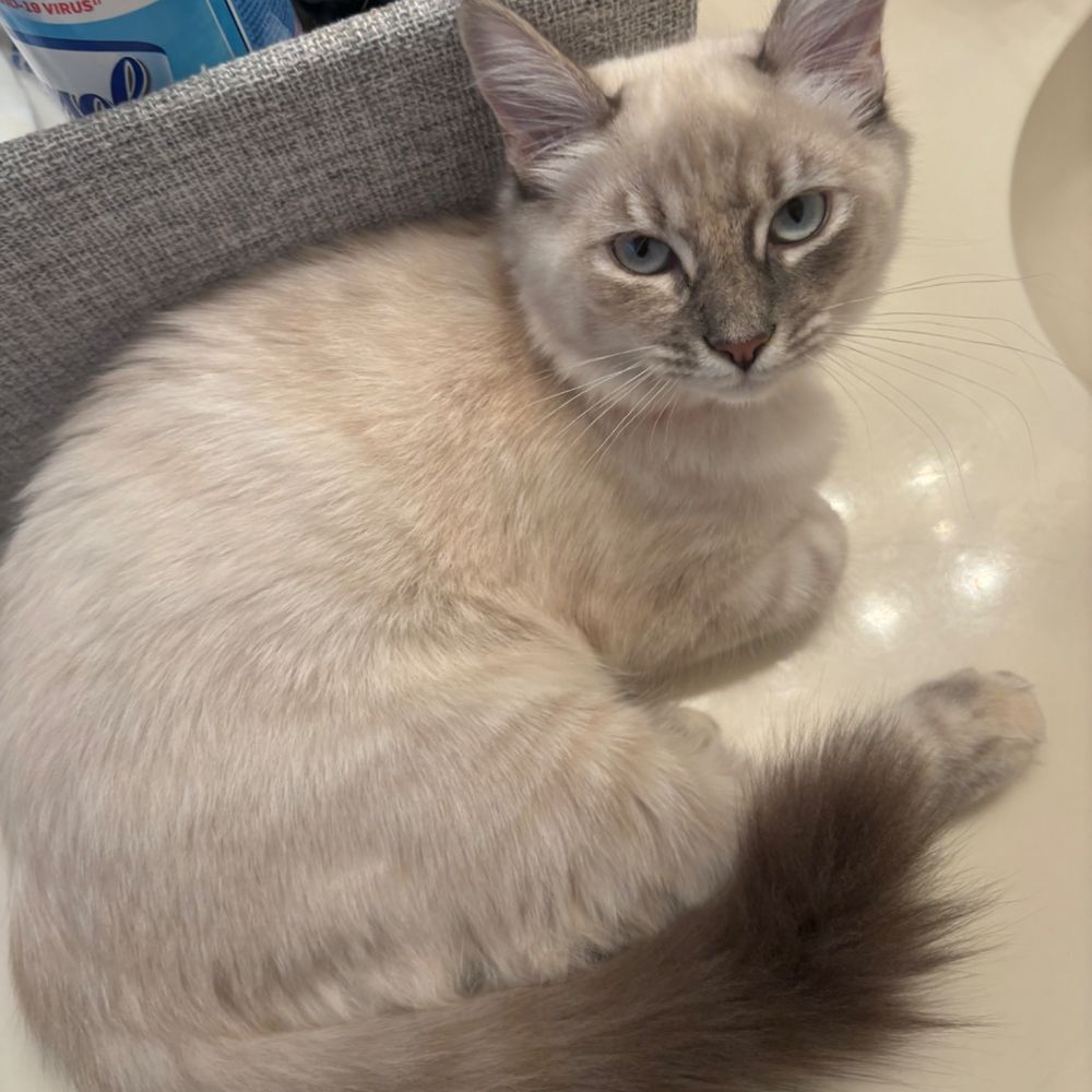 ‎kae_ann’s profile • Letterboxd