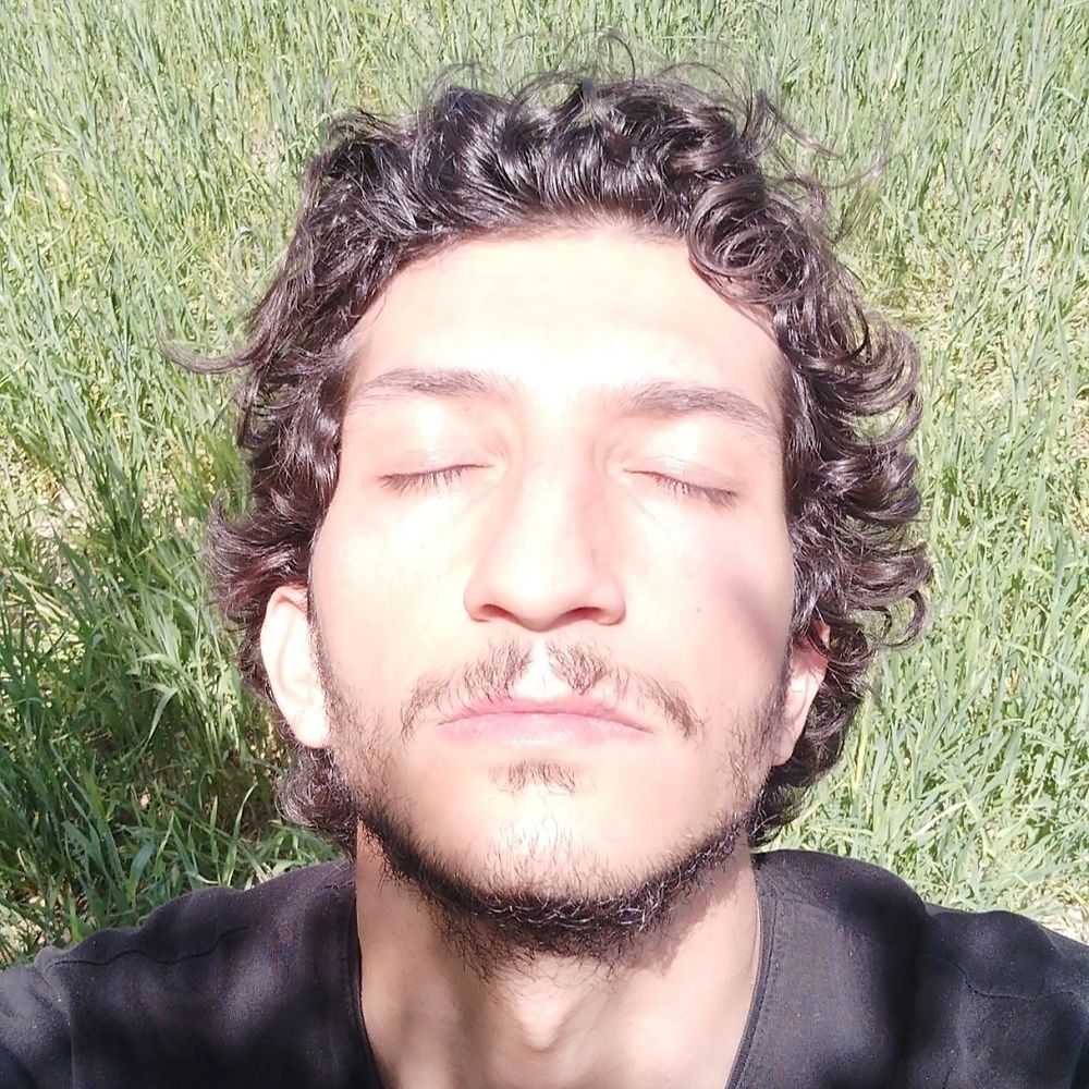 ‎Reza Nazari’s profile • Letterboxd