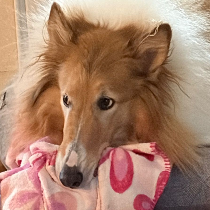 ‎Alex’s profile • Letterboxd