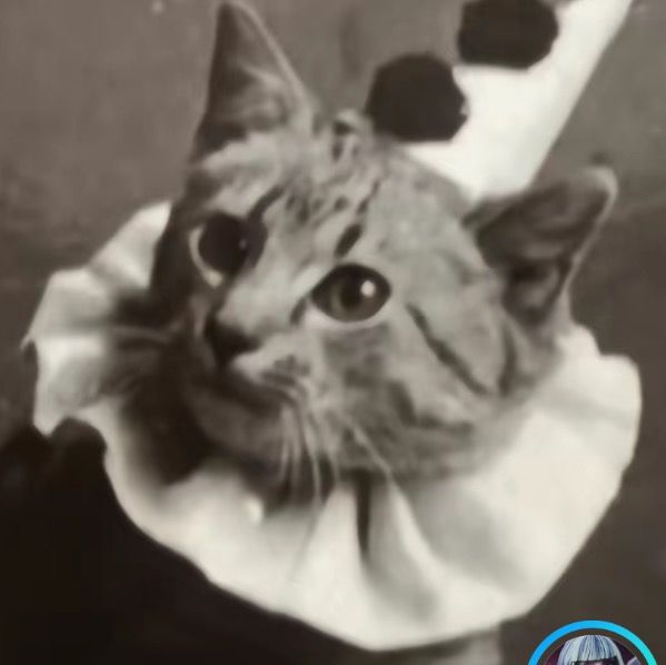 ‎sam’s profile • Letterboxd