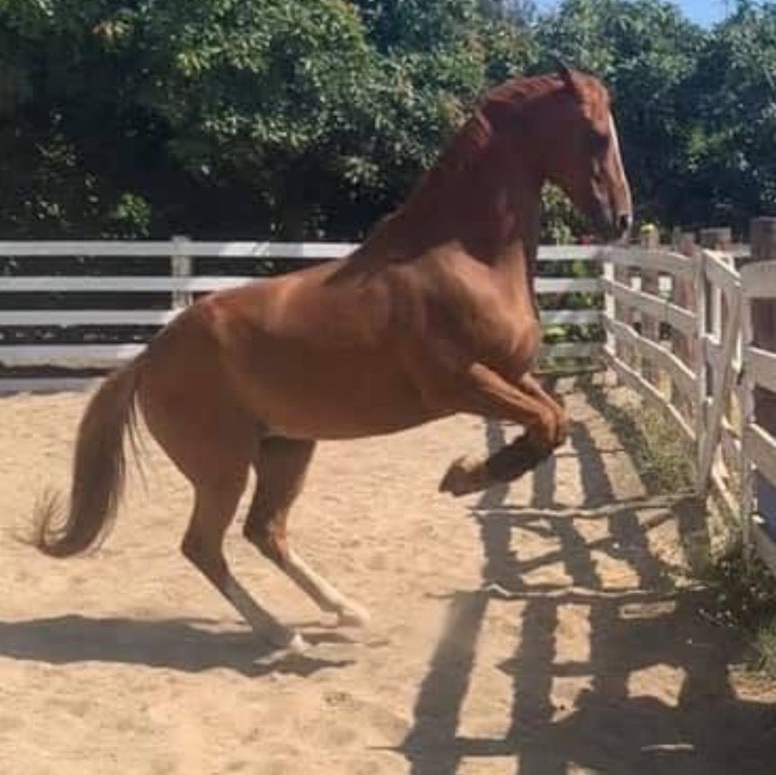 ‎Mergan’s profile • Letterboxd