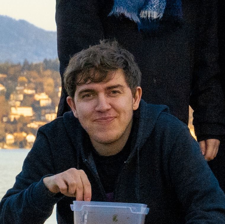 ‎ABOOOH’s profile • Letterboxd