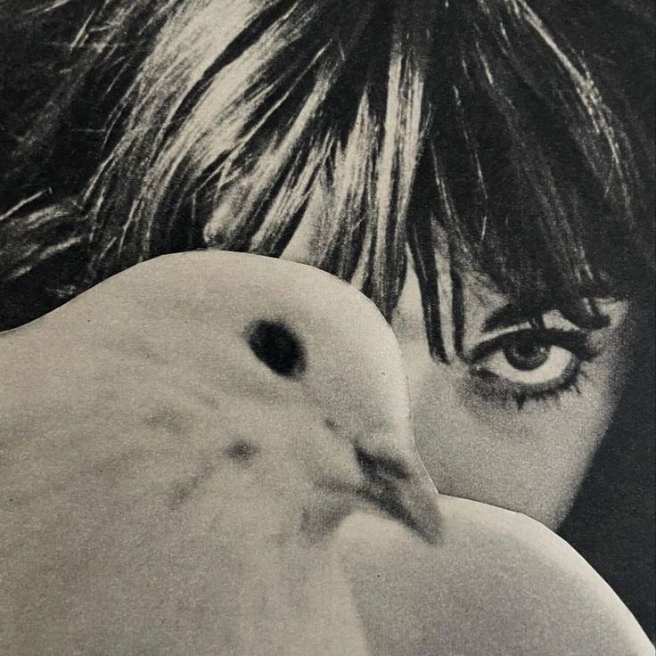 ‎Francina⚢’s profile • Letterboxd