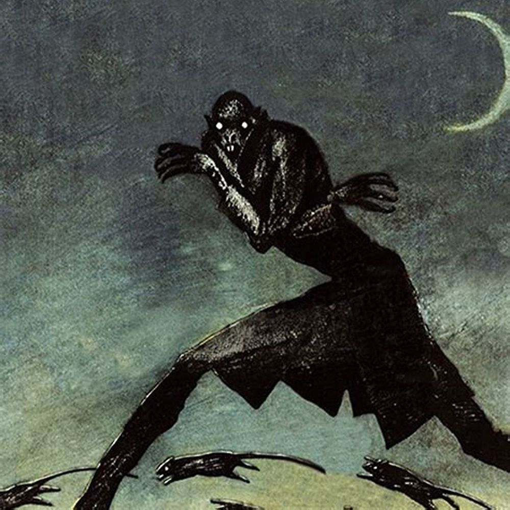 ‎braphog’s profile • Letterboxd