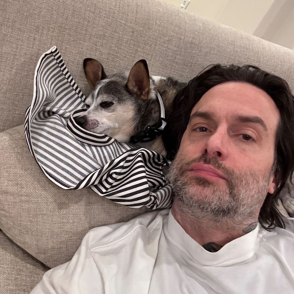 ‎Chris D’Elia’s profile • Letterboxd