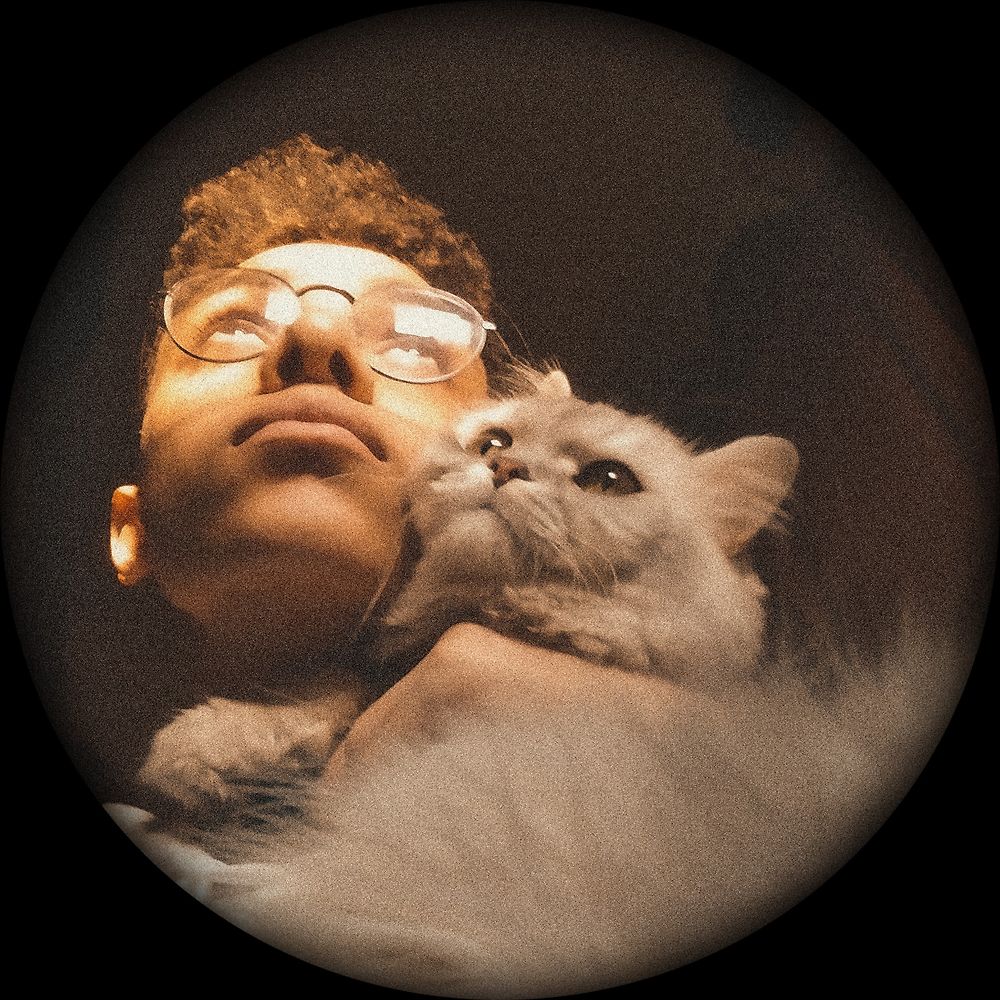 ‎Hossam Hosny’s profile • Letterboxd