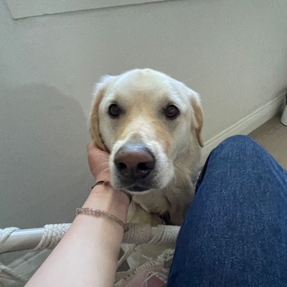 ‎rosaa_k’s profile • Letterboxd