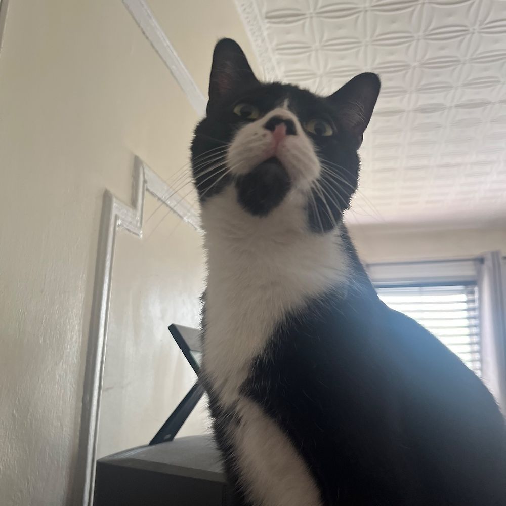 ‎Kevin Hernández Gómez’s profile • Letterboxd