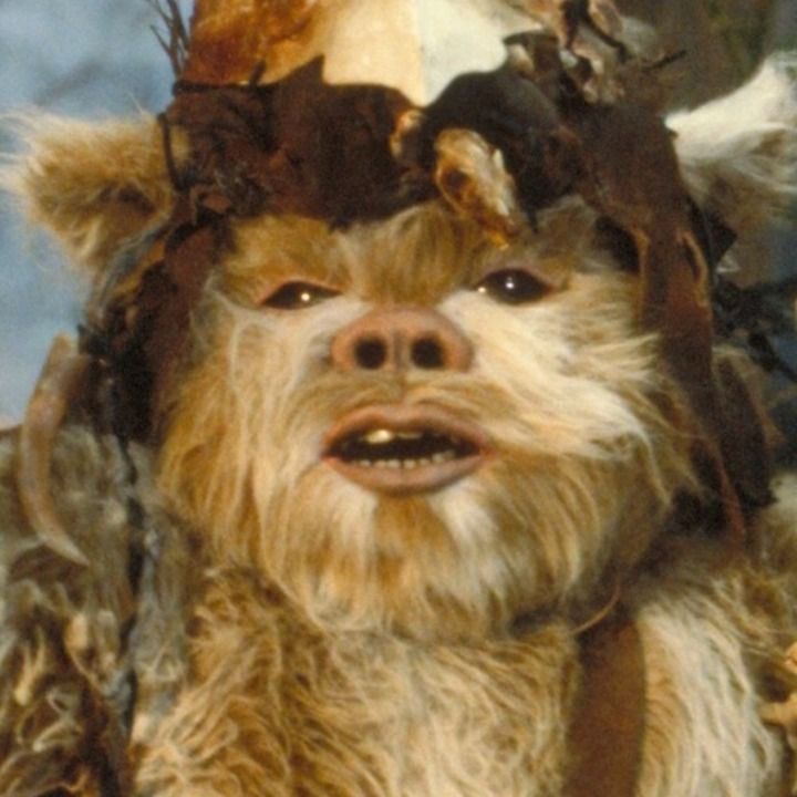 ‎Tom Sutton’s profile • Letterboxd